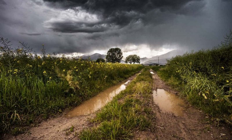 15 Examples of Empirical Knowledge - Examples Lab