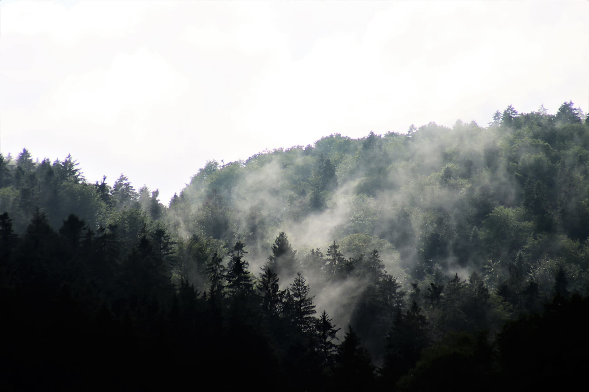 10 Examples from Liquids to Gaseous (and the other way around ...